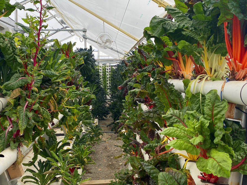 Sprung Greenhouse – Changing the Way the World’s Growing - First Pac West